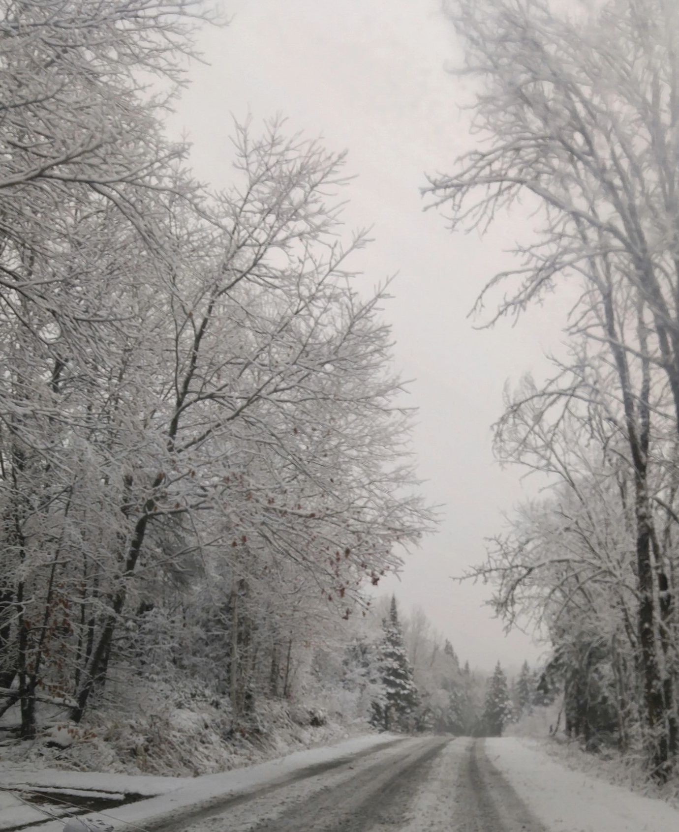 WINTER HAS STARTED UP NORTH
